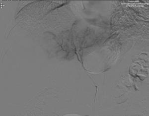 Home | American College of Radiology